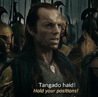 Elrond GIFs - Get the best gif on GIFER