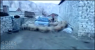 Suelo гифки, анимированные GIF изображения suelo - скачать гиф картинки ...