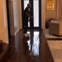 Hoverboard GIFs - Get the best gif on GIFER