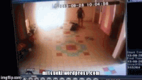 Lobby GIFs - Get the best gif on GIFER