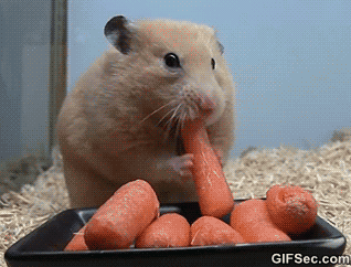 Eat a carrot GIF - Conseguir el mejor gif en GIFER