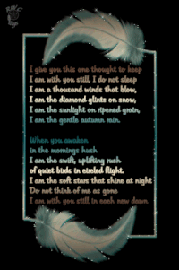 Feather GIFs - Get the best gif on GIFER