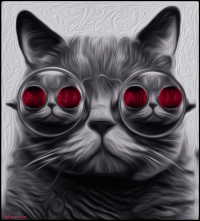 Pasar pagina GIF - Conseguir o melhor gif em GIFER