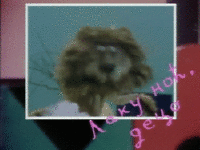 Raro GIFs - Get the best gif on GIFER