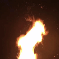 Bucle GIF - Conseguir el mejor gif en GIFER