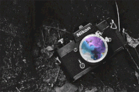 Nikon GIFs - Get the best gif on GIFER