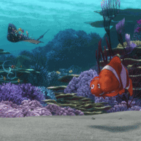 Nemo GIFs - Get the best gif on GIFER