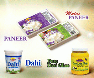 Paneer GIF - Conseguir o melhor gif em GIFER