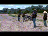 Canister GIFs - Get the best gif on GIFER