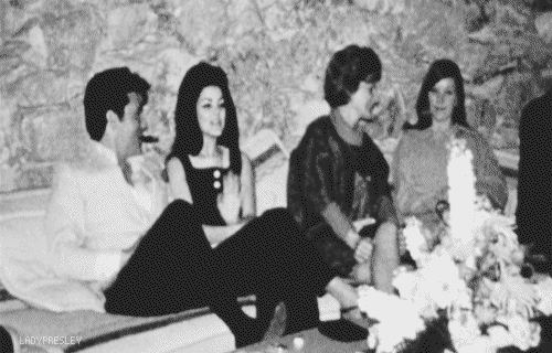 Ann beaulieu GIF - Conseguir el mejor gif en GIFER