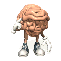 Quiz GIFs - Get the best gif on GIFER