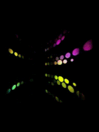 Rapture GIFs - Get the best gif on GIFER