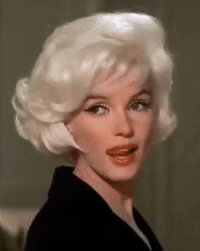 Round GIFs - Get the best gif on GIFER