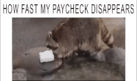 Paycheck GIFs - Get the best gif on GIFER