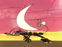 Sailing GIFs - Get the best gif on GIFER