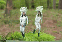 Refuse GIFs - Get the best gif on GIFER