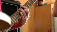 Prehistoric GIFs - Get the best gif on GIFER