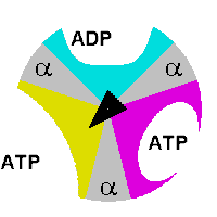 Atp GIFs - Get the best gif on GIFER