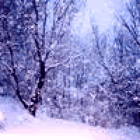 Defensive GIFs - Get the best gif on GIFER