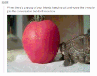 Accurate GIFs - Get the best gif on GIFER