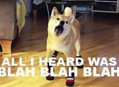 Yapping dog GIFs - Obtenez le meilleur gif sur GIFER
