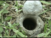 Trapdoor GIFs - Get the best gif on GIFER