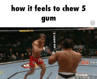 Chew GIFs - Get the best gif on GIFER