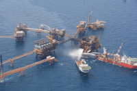 Plates GIFs - Get the best gif on GIFER