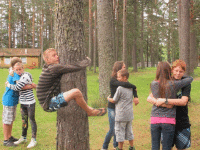 Tree climbing GIFs - Get the best gif on GIFER
