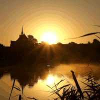 Park GIFs - Get the best gif on GIFER