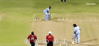 Cricket GIFs - Get the best gif on GIFER