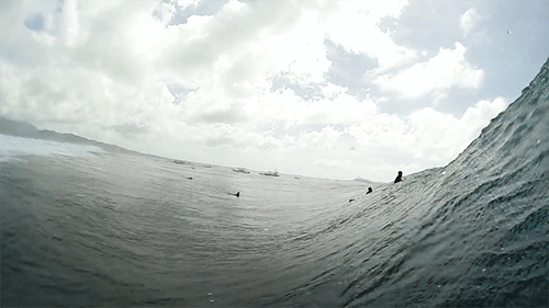 Micronesia GIFs - Get the best gif on GIFER