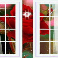 Rosa GIF - Conseguir el mejor gif en GIFER