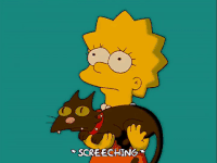 Snowball GIFs - Get the best gif on GIFER