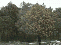 Mindblowing GIFs - Get the best gif on GIFER