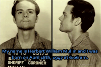 Mullins GIFs - Get the best gif on GIFER