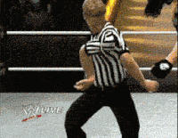 Wwf GIFs - Get the best gif on GIFER