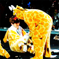 Ryeowook Giraffe