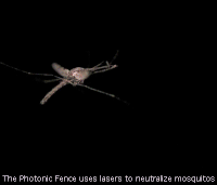 Mosquitoes GIFs - Get the best gif on GIFER