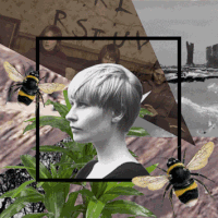 Muschamp GIFs - Get the best gif on GIFER