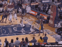 Mongoose GIFs - Get the best gif on GIFER