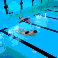 Swiming GIFs - Get the best gif on GIFER