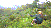 Ziplining GIFs - Get the best gif on GIFER