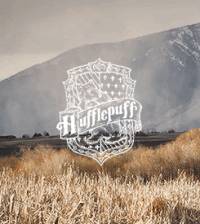 Hufflepuff GIFs - Get the best gif on GIFER