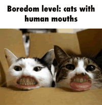 Langeweile GIFs - Get the best gif on GIFER