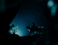 Nazgul GIFs - Get the best gif on GIFER