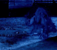 Creatures GIFs - Get the best gif on GIFER