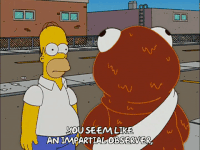 Feedback GIFs - Get the best gif on GIFER