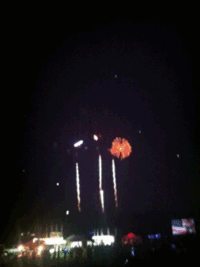 Michigan GIFs - Get the best gif on GIFER