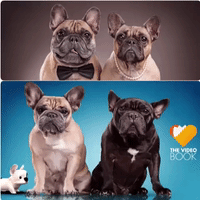 Photobook GIFs - Get the best gif on GIFER